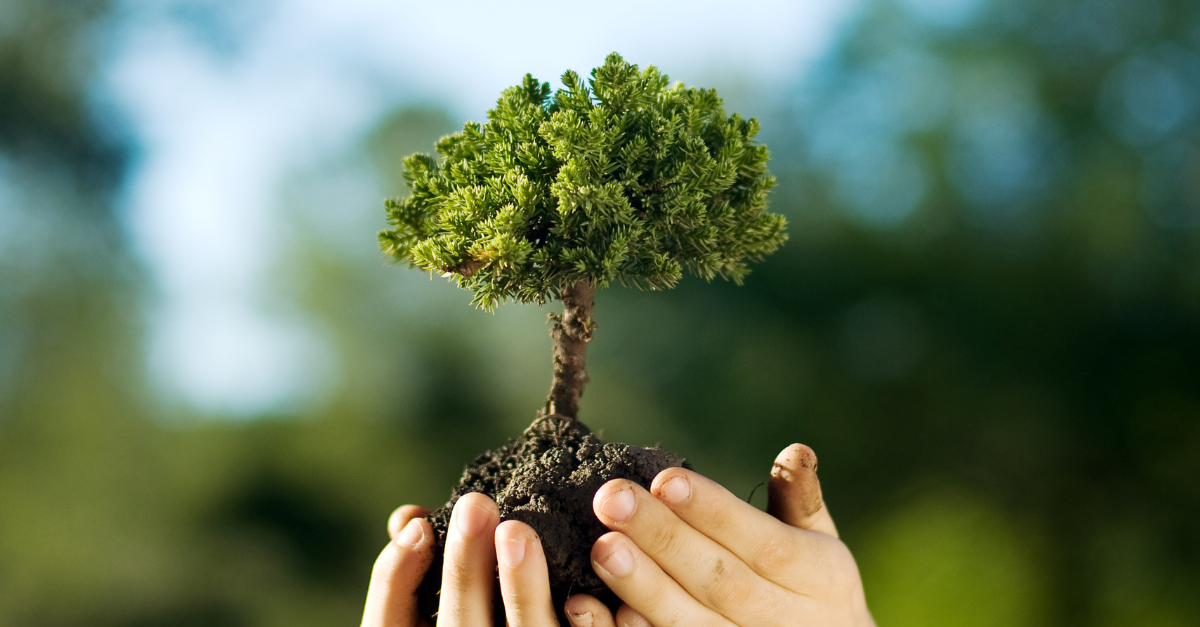 Portugal e o Ambiente: a despesa nacional para a proteção do ambiente